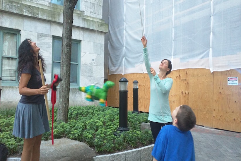 stuck_in_the_tree.jpg | The Harvard Biophysics Graduate Program